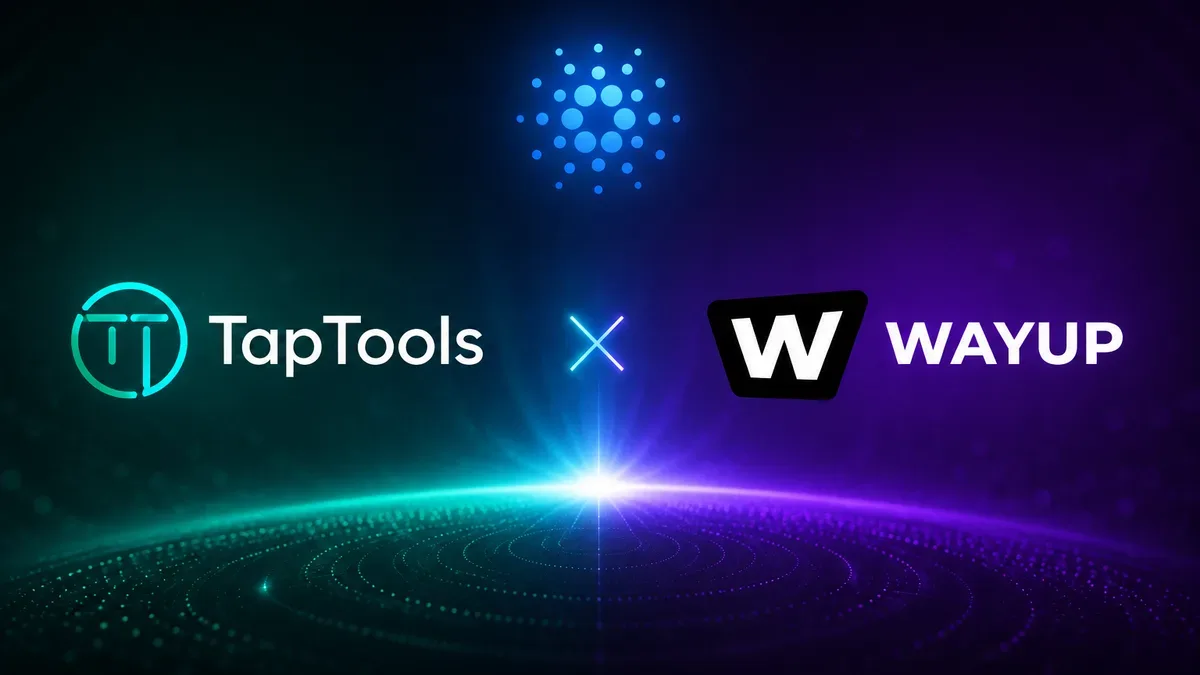 TapTools Adds Wayup Data as the Cardano NFT Market Reorganizes After ...